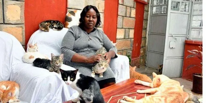 Meet Woman Splashing Ksh250K Monthly on Her 386 Cats - Livenow Breaking ...